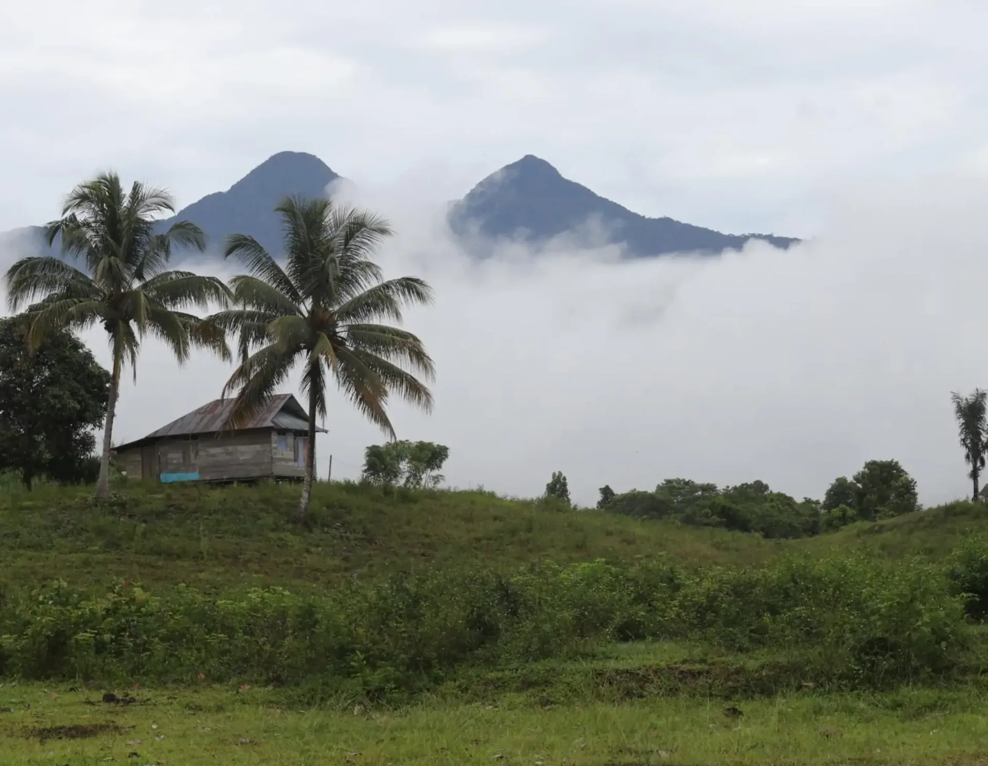 Baseline Survei dan Rencana Strategis untuk Program SGP GEF 2022-2026 ...